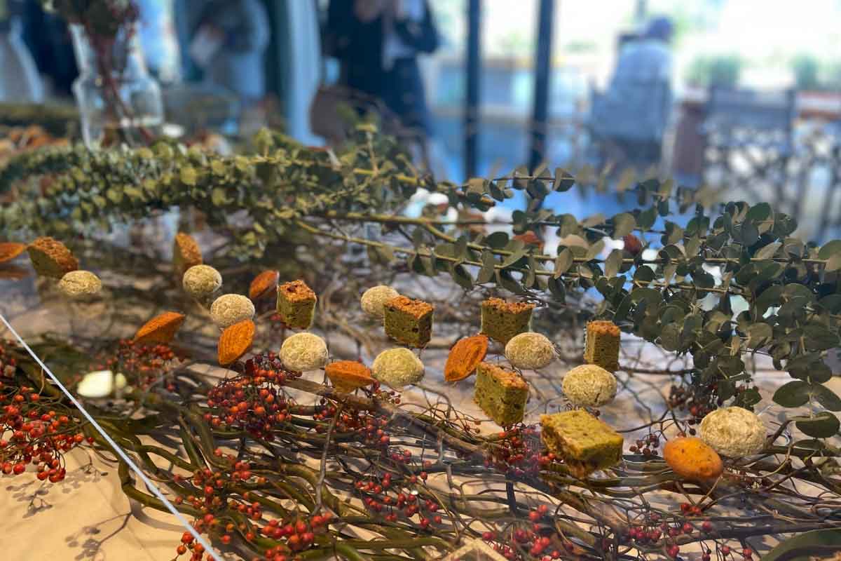 カドー10周年！ スイートルームで“cadoのある暮らし”演出 | ビュートピア（Beautopia）